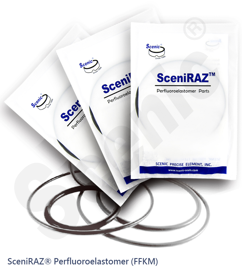 Scenic-Expert in Mechanical Seals