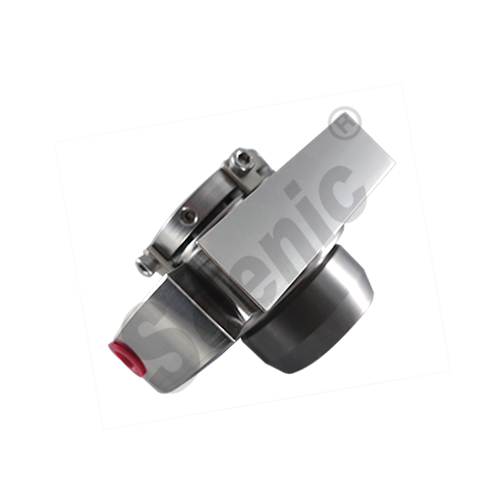 Scenic-Expert in Mechanical Seals