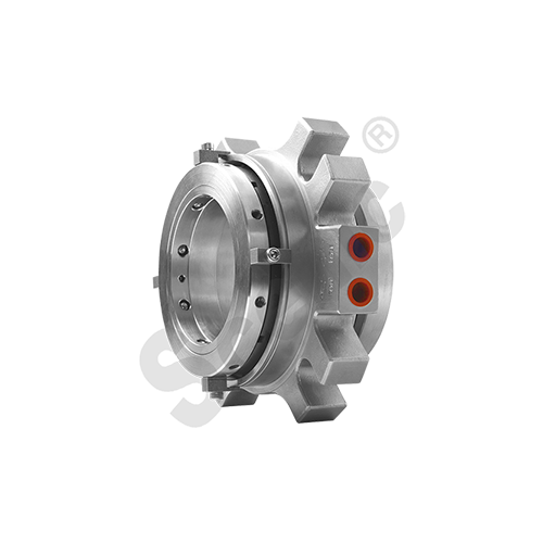 Scenic-Expert in Mechanical Seals