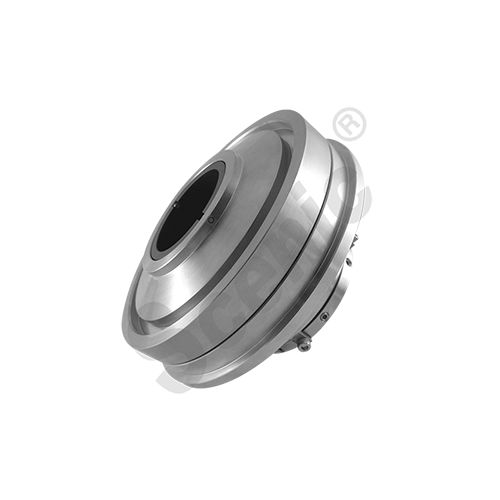 Scenic-Expert in Mechanical Seals